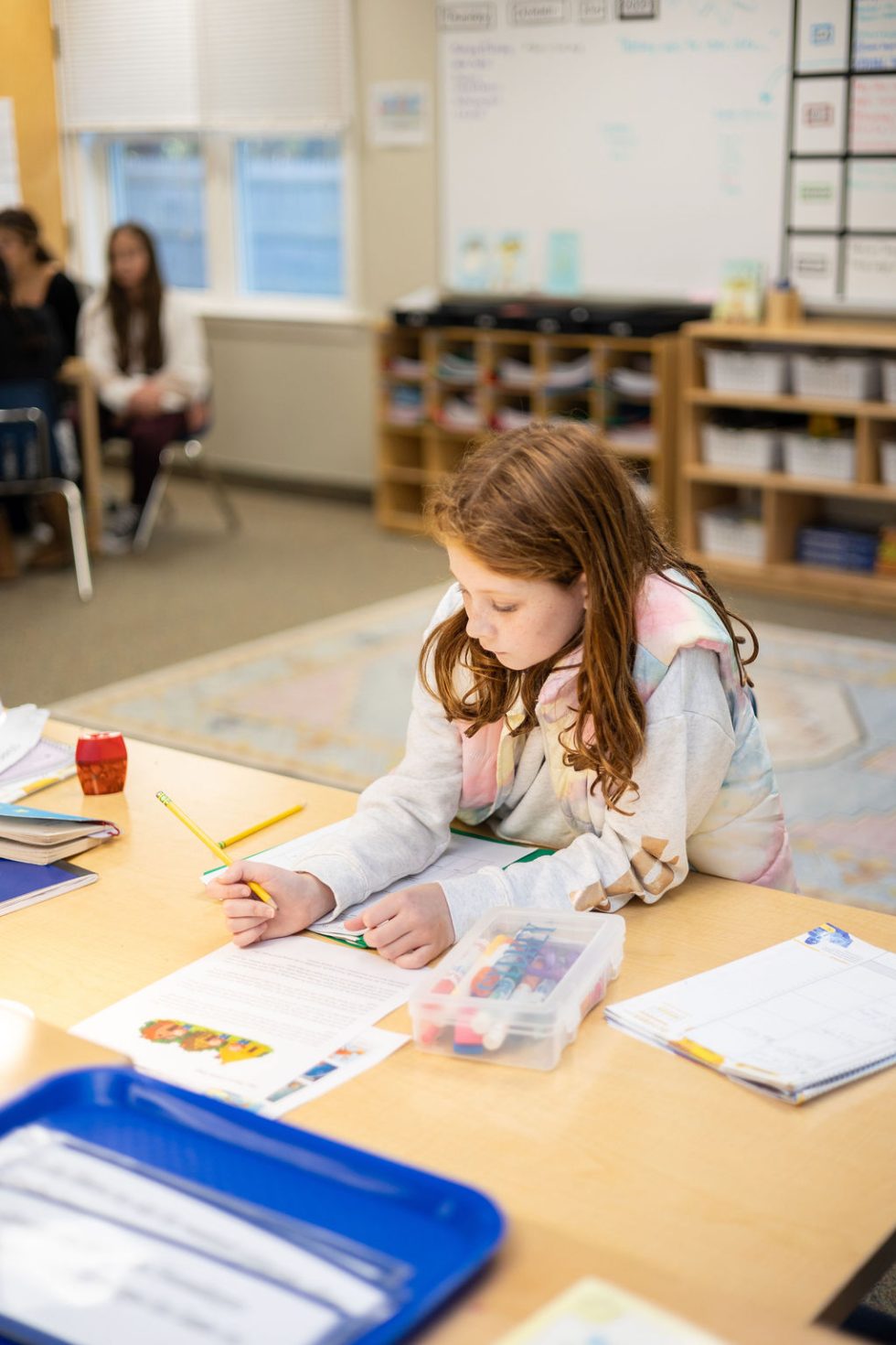 Elementary II Private School | Bay Farm Montessori Academy