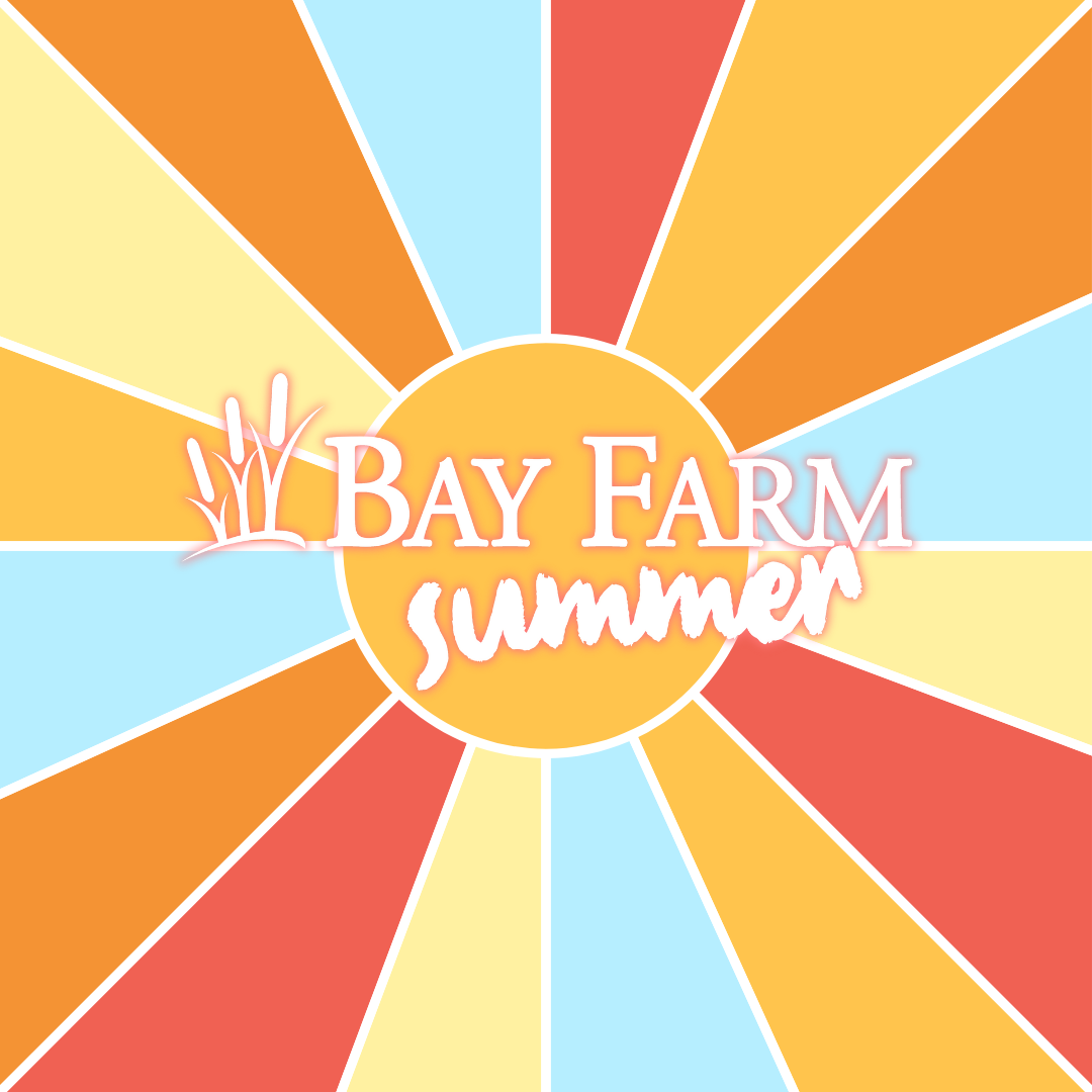 Bay Farm Summer 2024 | Bay Farm Montessori Academy