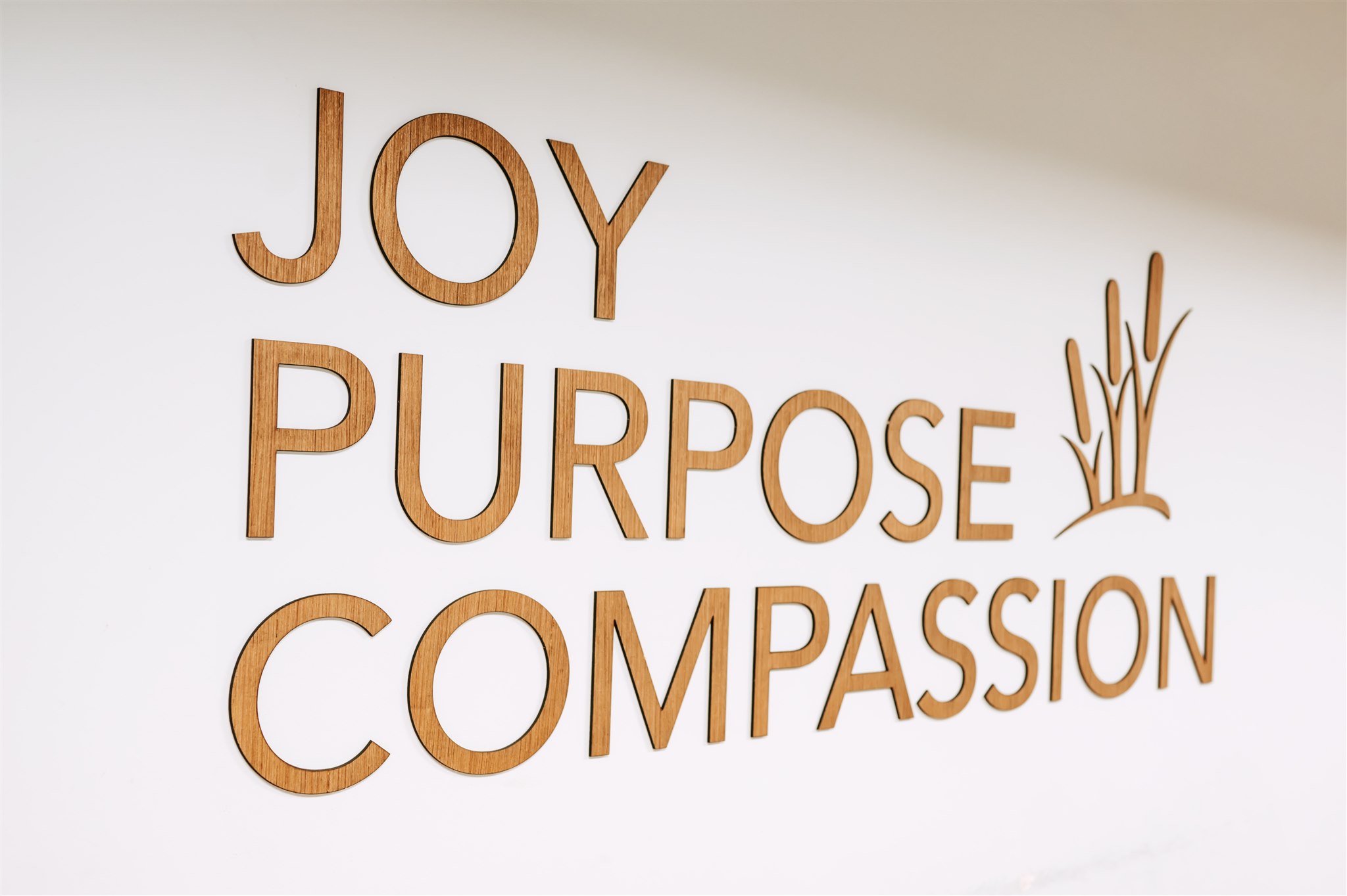 Embracing Growth and New Beginnings at Bay Farm | Bay Farm Montessori ...